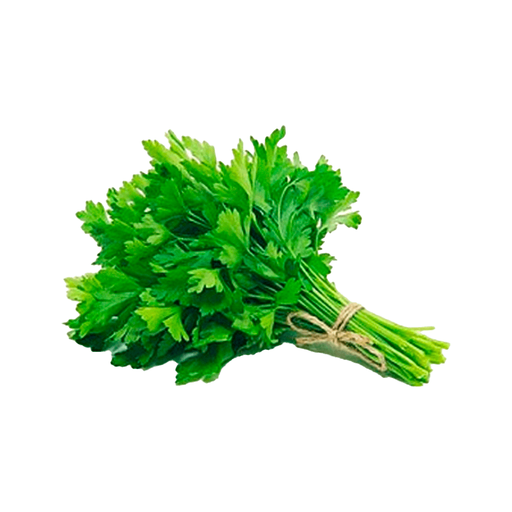 SALSA HID UN - hiperideal